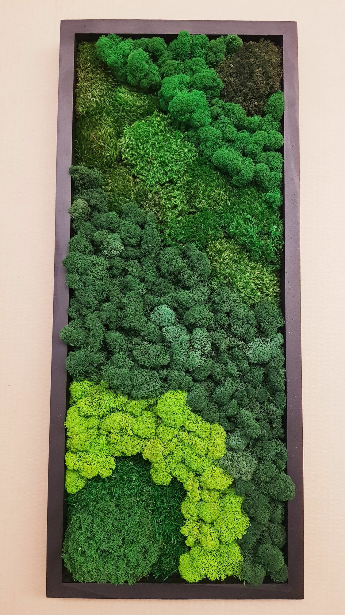 Панно из мха /70*30 / Как мечта