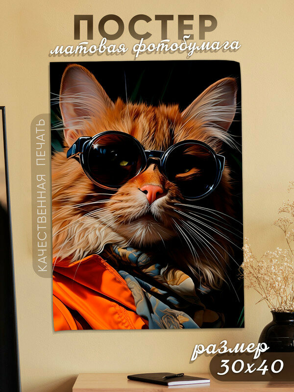 Постер Кот в очках (20) 30х40