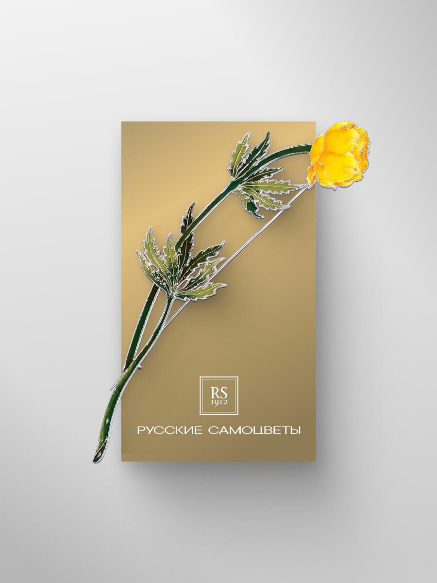 Брошь, серебро, 925 проба, эмаль