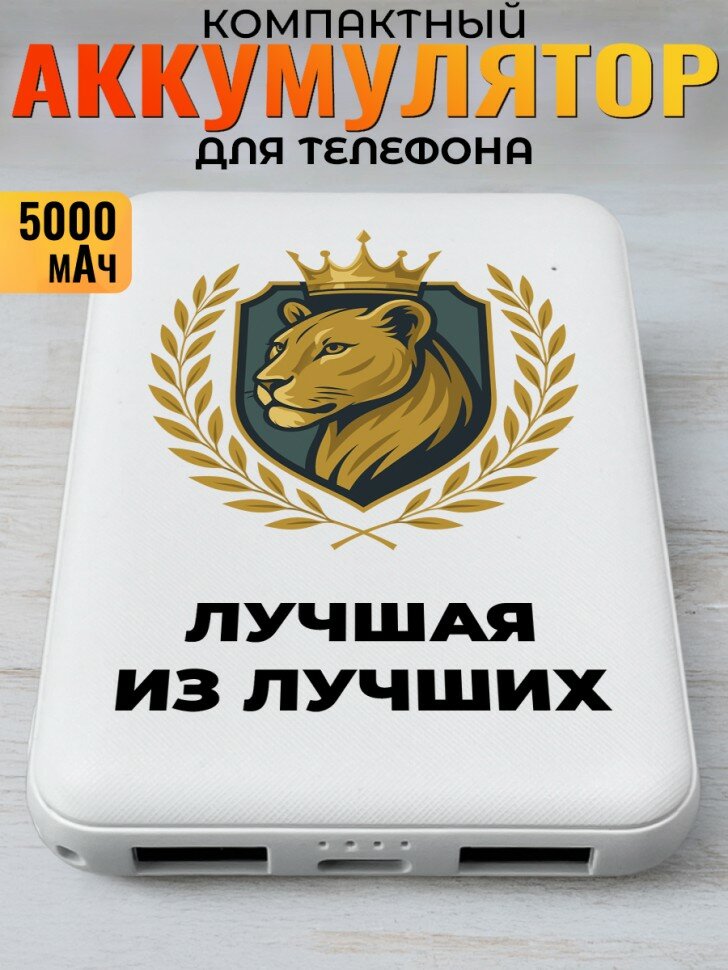 Повербанк "Лучшая из лучших"