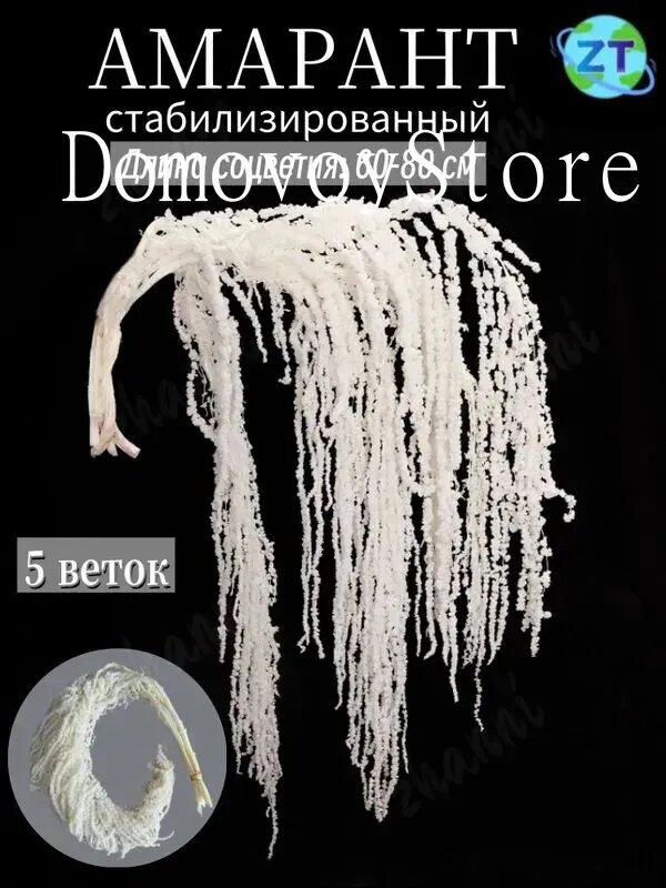 Стабилизированные цветы Амарант, 80 см, 1 шт. Декор для интерьера