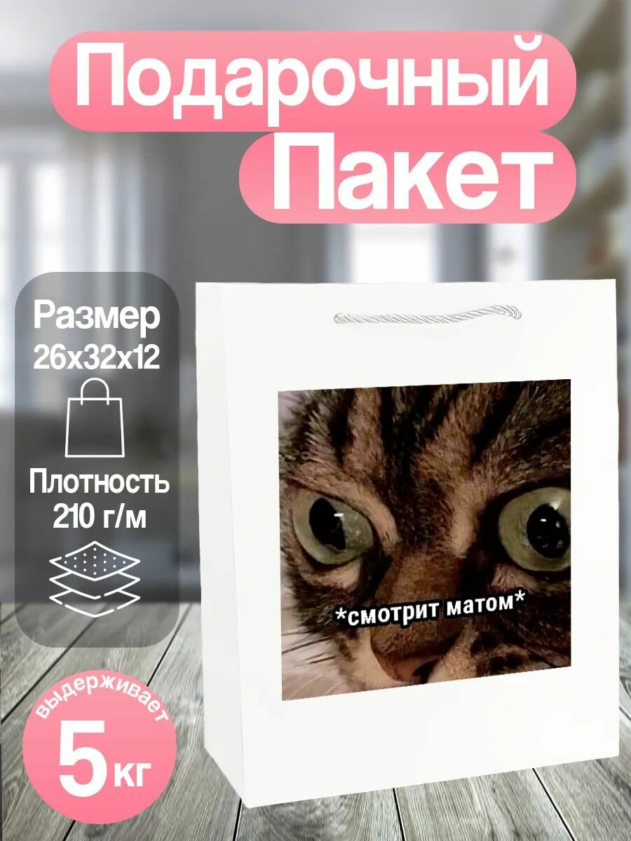 Пакет подарочный мем котики, упаковка для подарка, 26х31 см