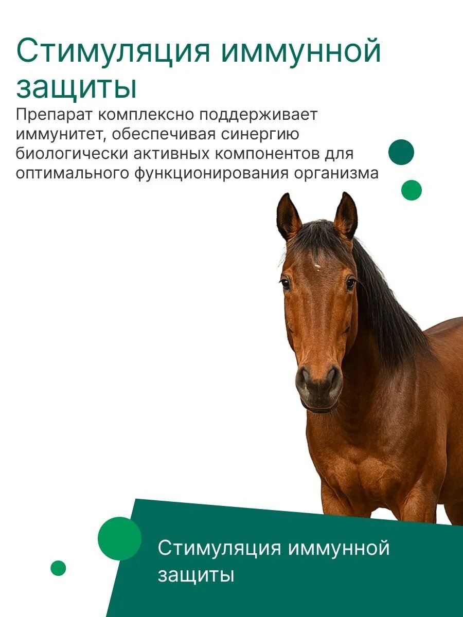 Раствор NITA-FARM Тетравит (комплекс витаминов A, D₃, Е, F в масле), 100 мл — фото 1
