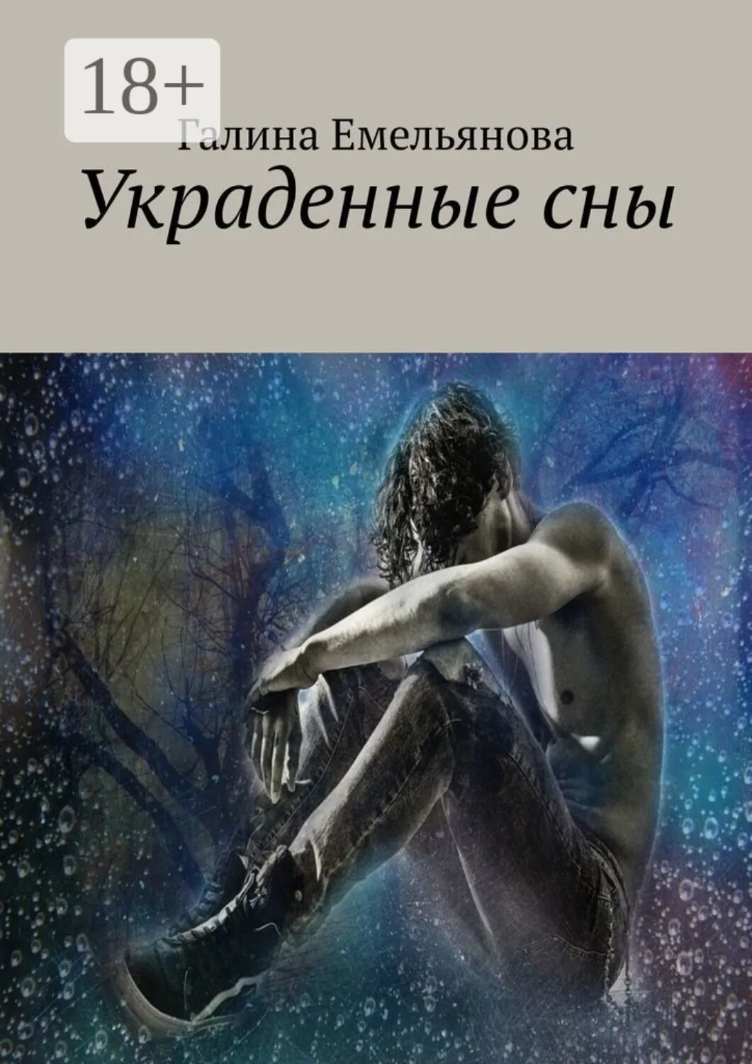 Украденные сны [Цифровая книга]