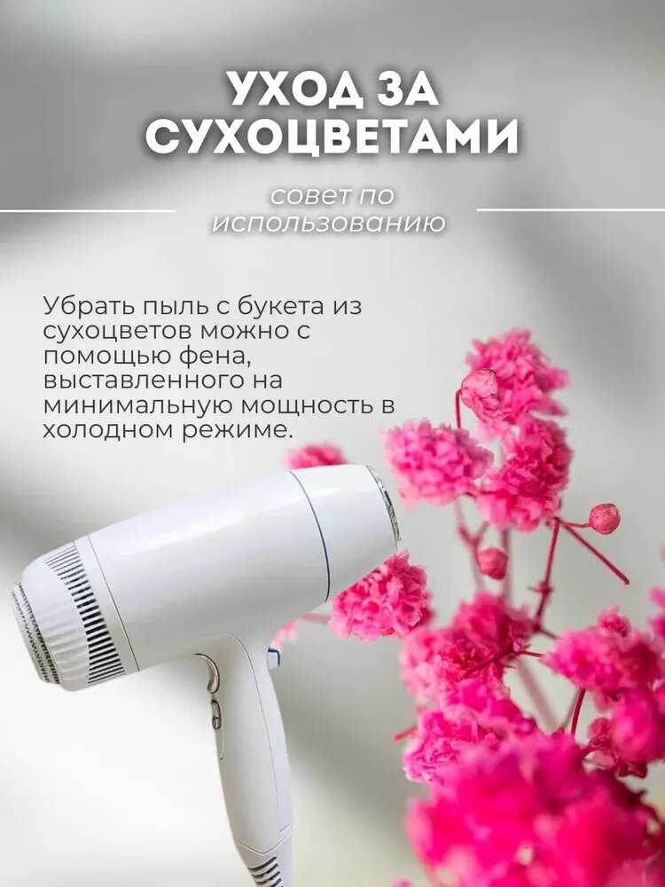Сухоцветы Гипсофила, 1 шт — фото 1