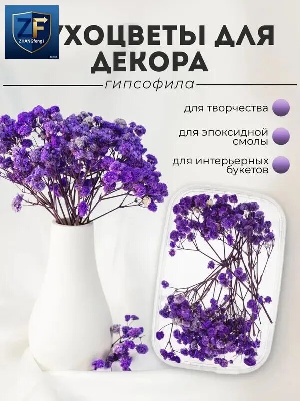 Сухоцветы Гипсофила, 1 шт