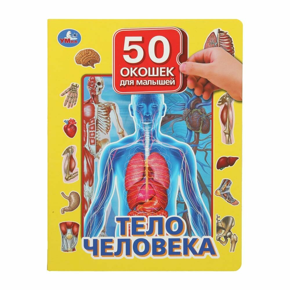 Книга "Тело человека. 50 окошек для малышей", 20х26 см. 10 стр. УМка 978-5-506-09939-0