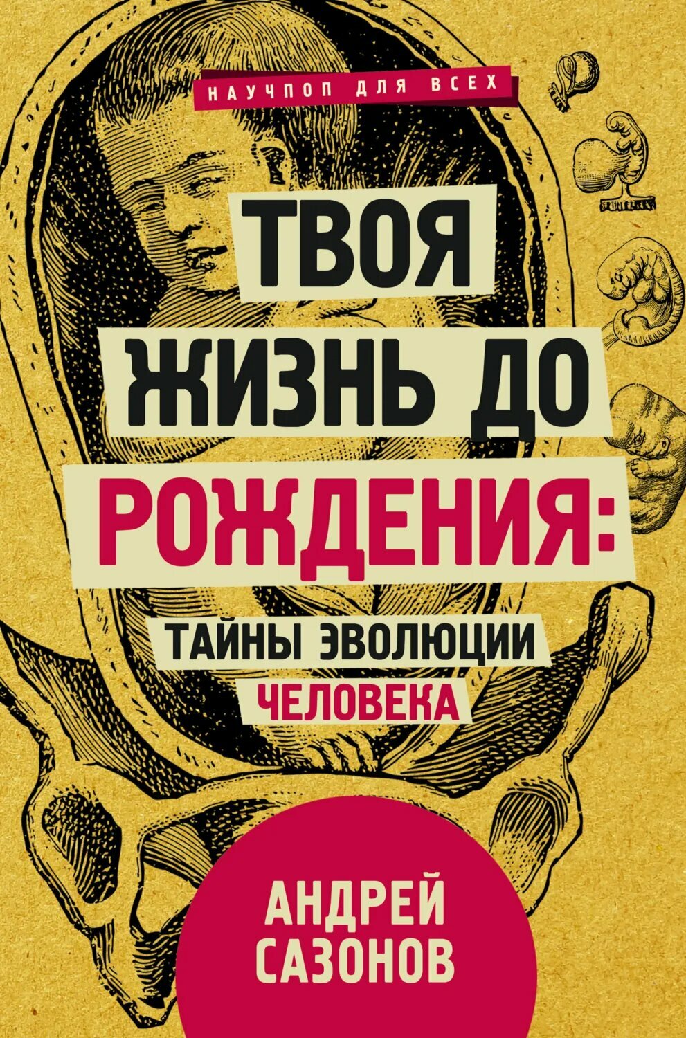 Твоя жизнь до рождения: тайны эволюции человека [Цифровая книга]