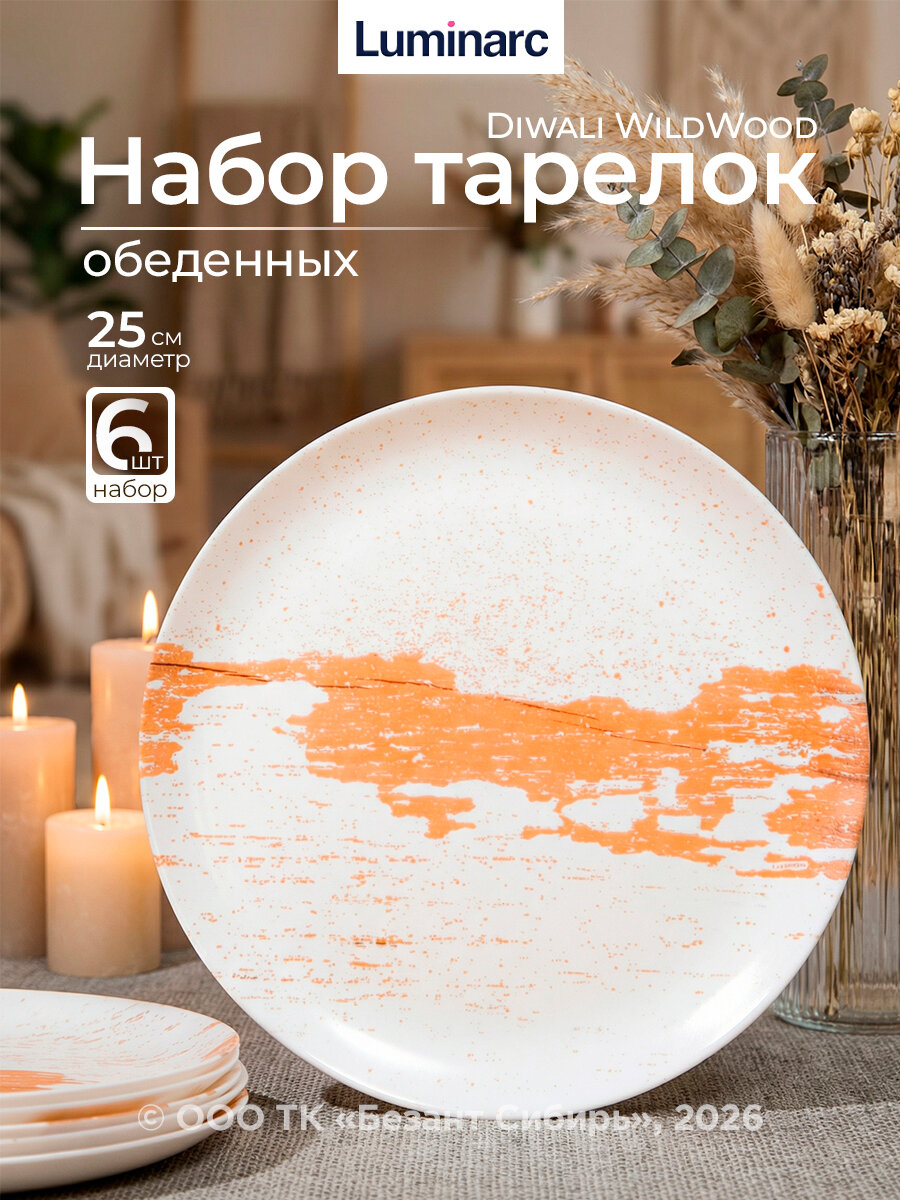 Набор тарелок обеденных DIWALI WILDWOOD 25см 6шт