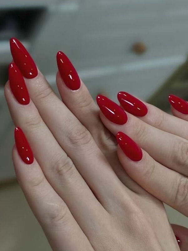 Накладные ногти ( 24 типсы + клей )