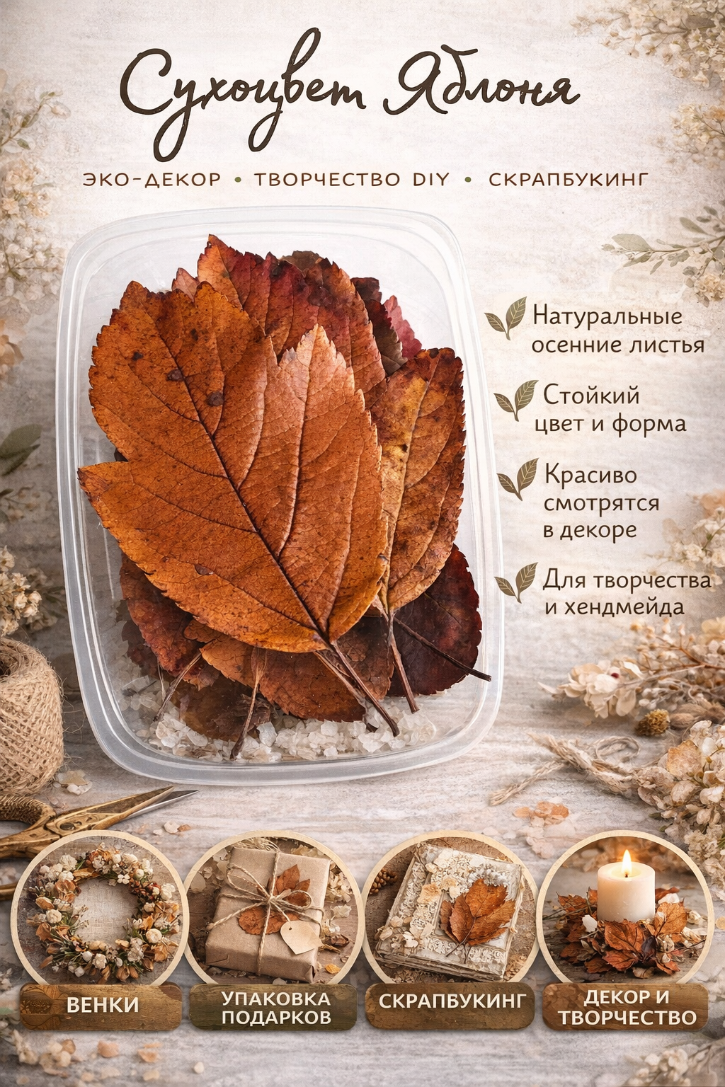 Сухоцвет декоративной яблони для творчества DIY эко-стиль флористика