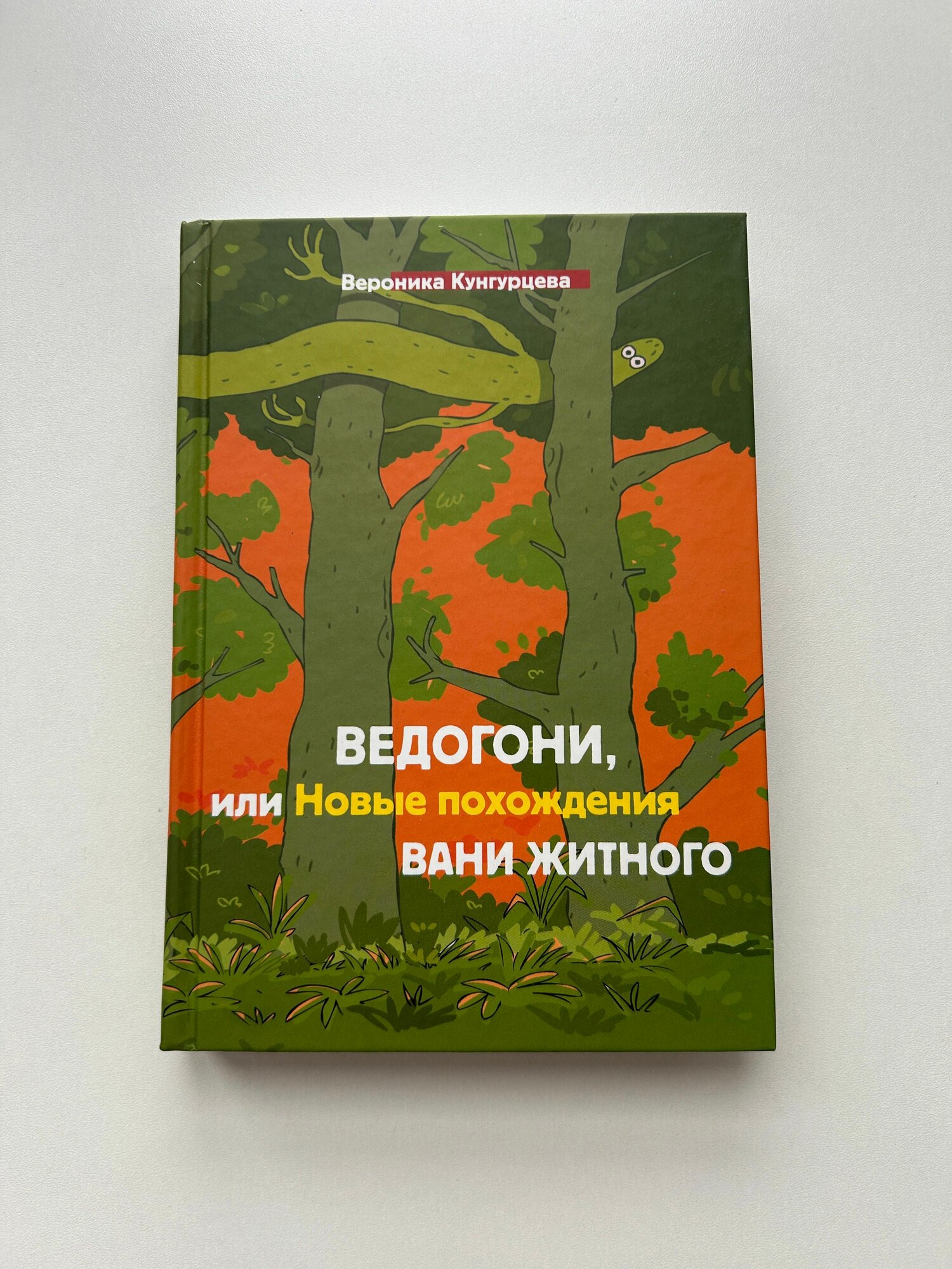 Книга Ведогони, или Новые похождения Вани Житного. Издание 2009 года