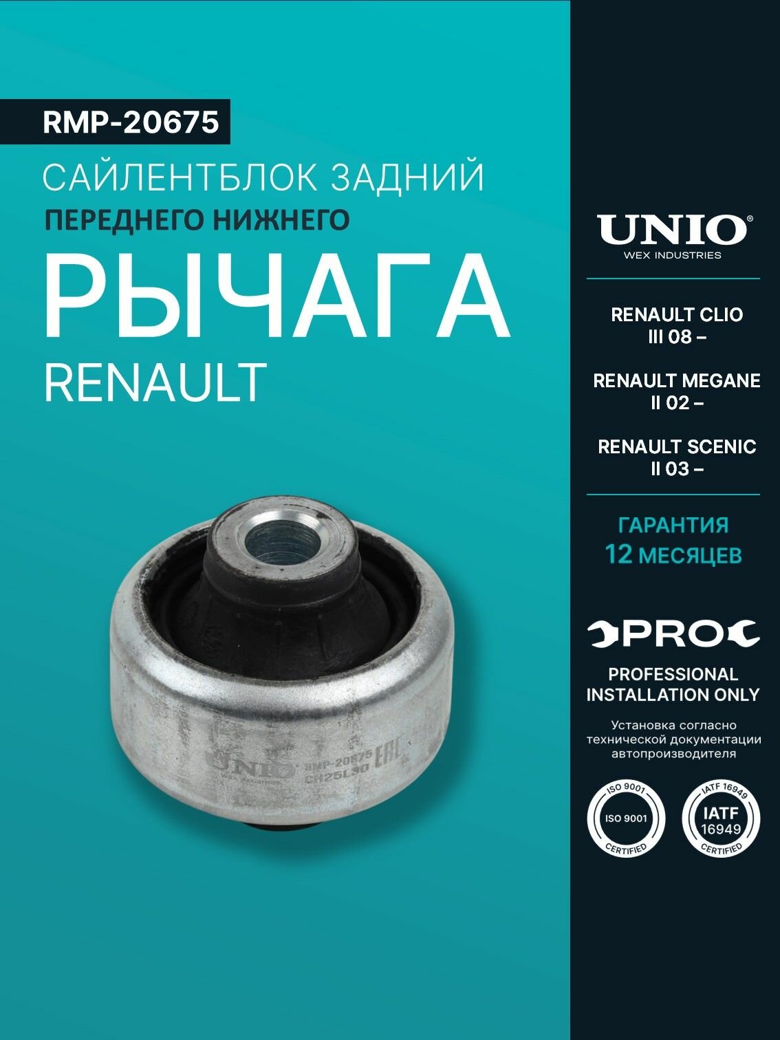 С/блок задний переднего нижнего рычага Renault Clio III 08-, Megane II 02-, Scenic II 03-