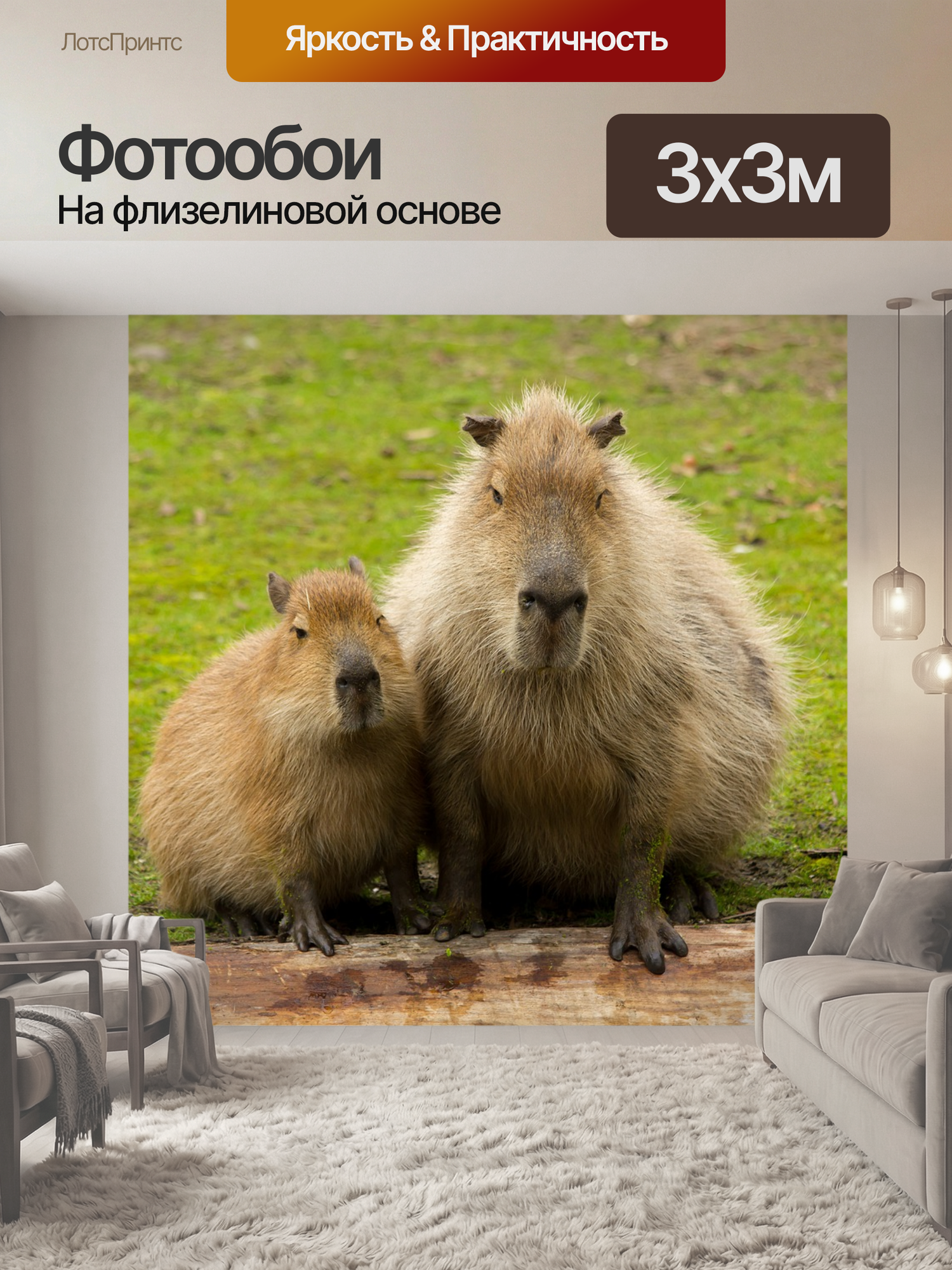 Фотообои "Капибара, животные, зоопарк" 300x300 см. экосольвентная печать
