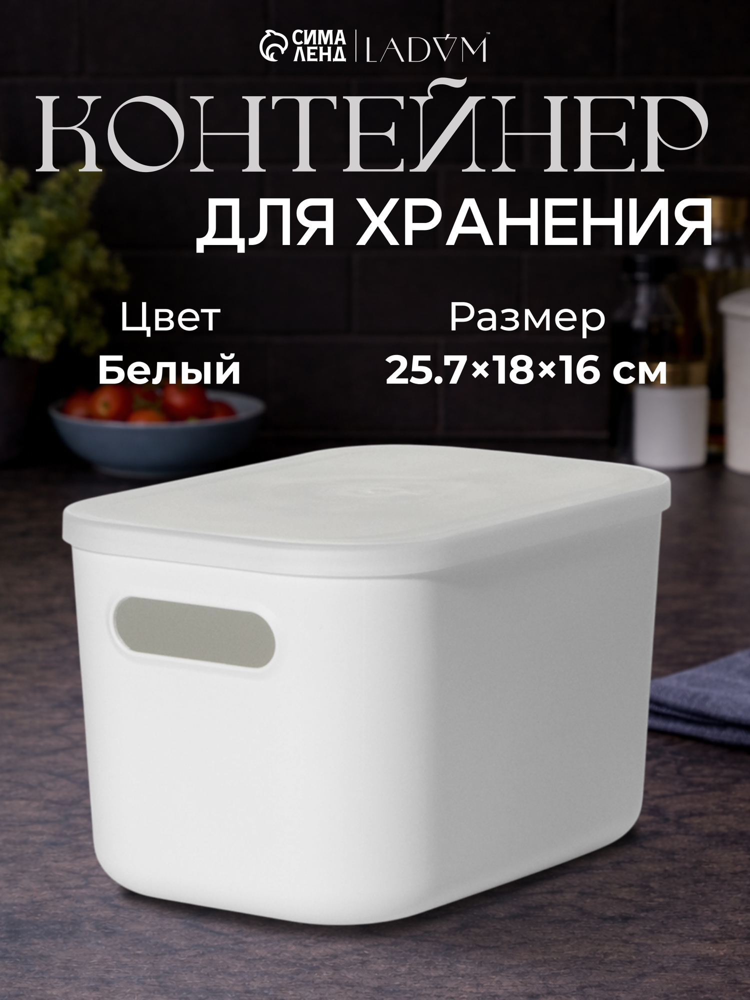 Контейнер для хранения с крышкой LaDom «Лёгкость», 25.7×18×16 см, белый