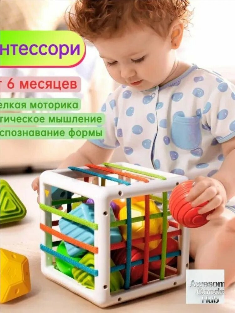 Сортер