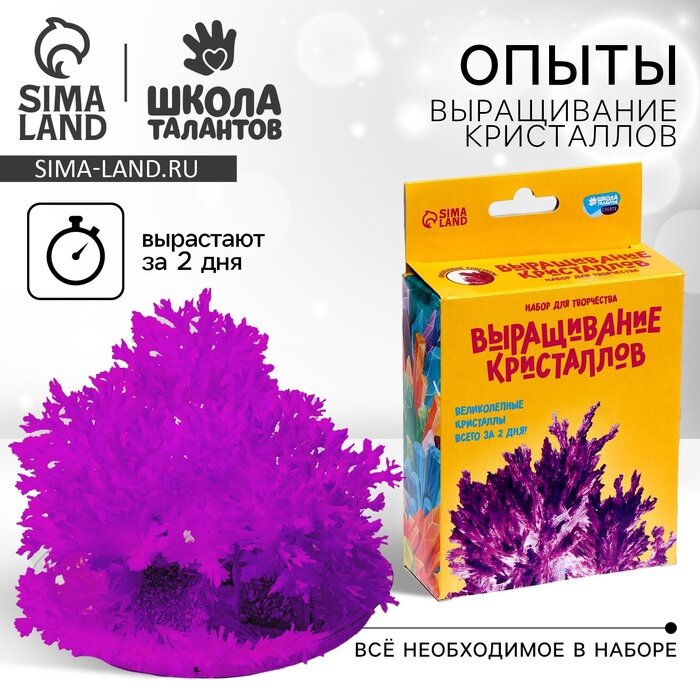 Выращивание кристаллов Опыты. Лучистый кристалл, цвет фиолетовый