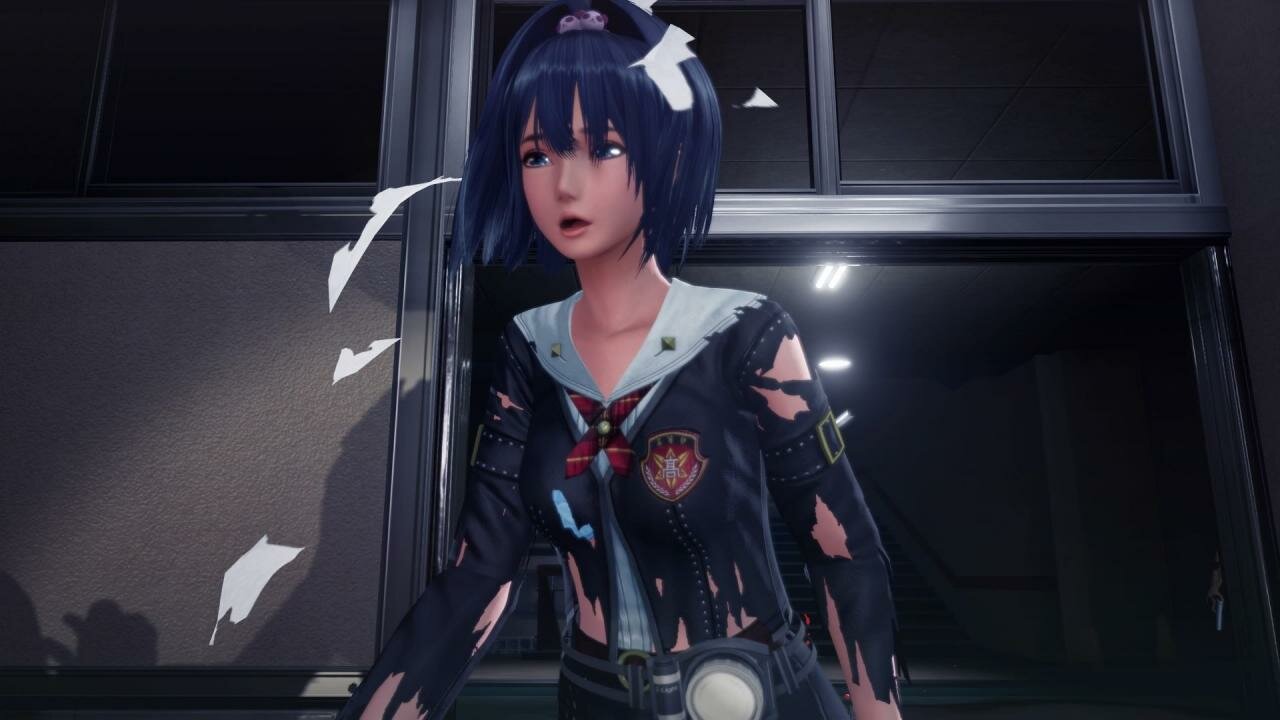 SG/ZH: School Girl/Zombie Hunter PC Steam Ключ • Активация Steam
