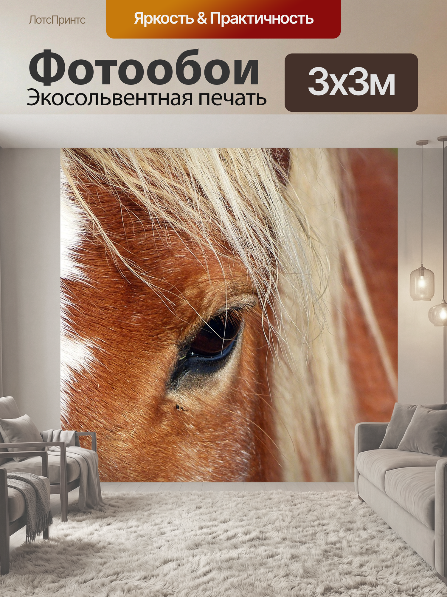 Фотообои "Лошадь, голова, книжная обложка" 300x300 см. экосольвентная печать