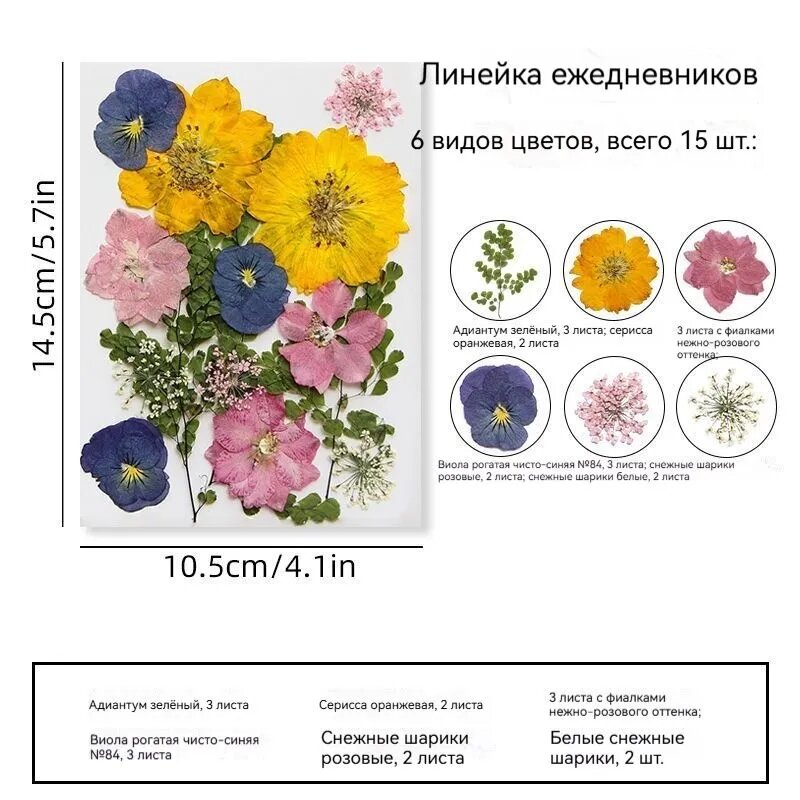Креативная закладка из сухоцветов, Можно использовать для создания креативных закладок, ручной работы, DIY