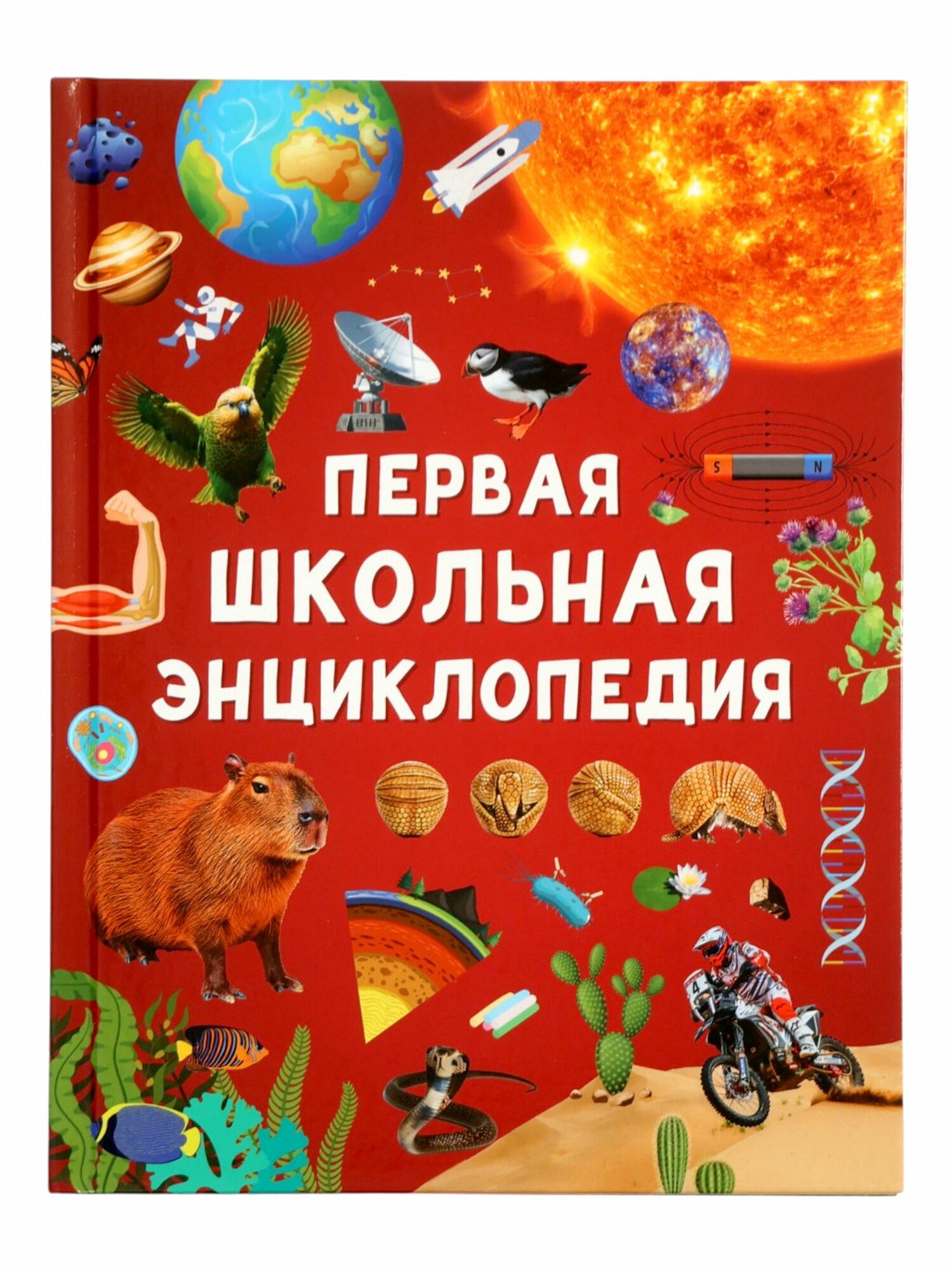 Первая школьная энциклопедия в твёрдом переплёте, 160 стр, возраст: от 7 лет