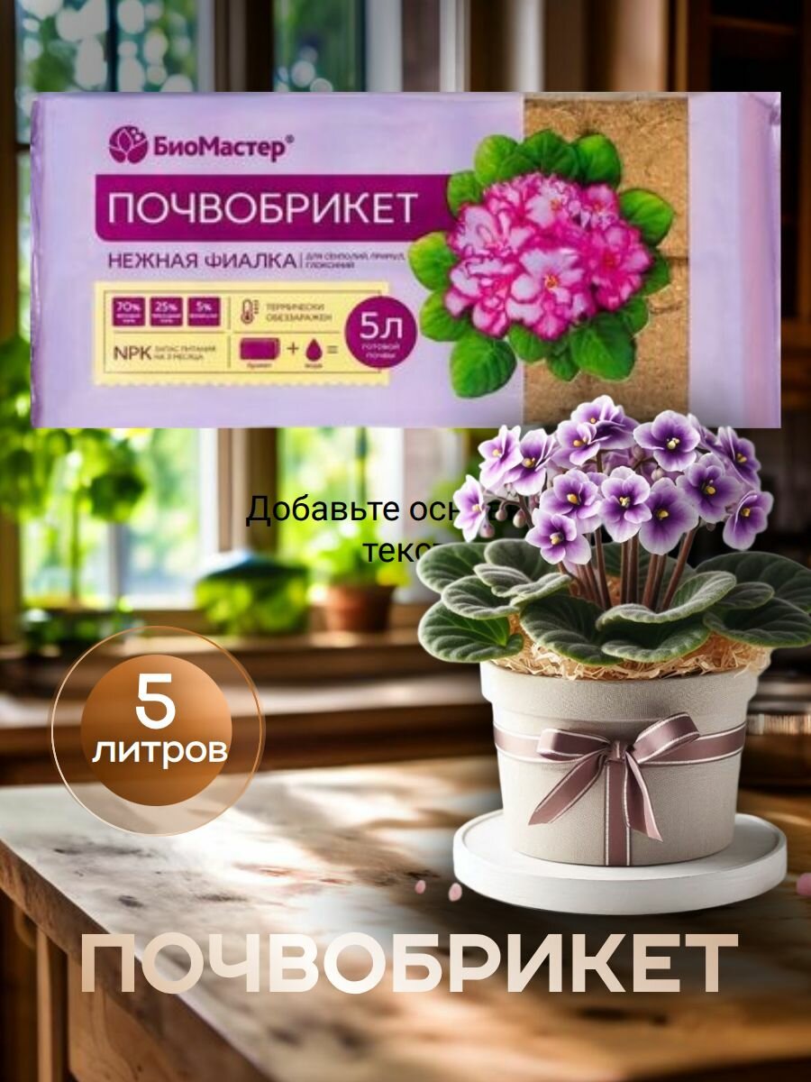 Почвобрикет Нежная фиалка БиоМастер 5 л