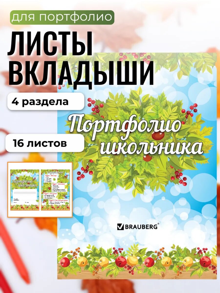 Листы вкладыши для портфолио школьника, 16 листов