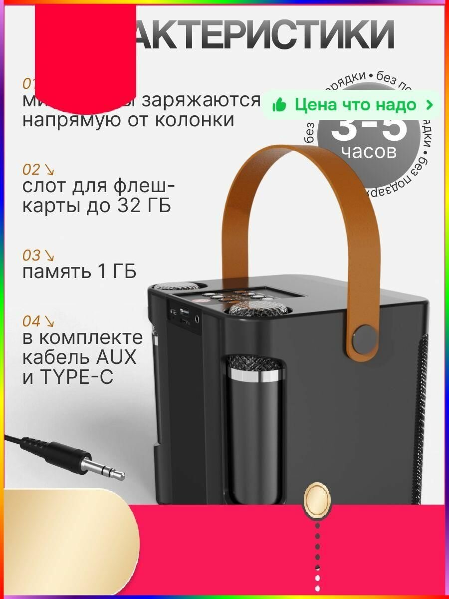 Караоке-система — фото 1