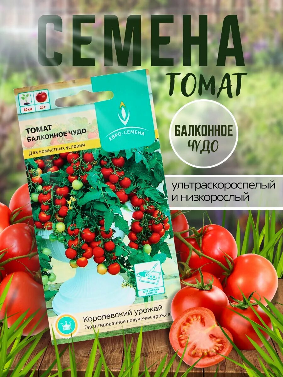 Семена Томат «Балконное чудо», ультраскороспелый, детерминантный, 15 шт, «Евро-семена»