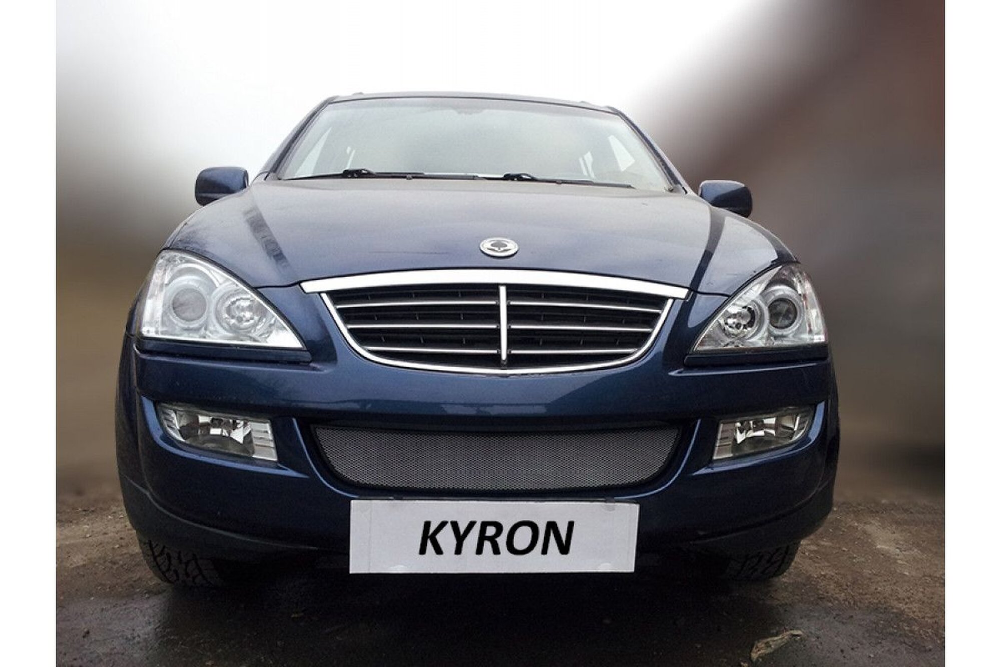 Защитная сетка радиатора с окантовкой и защелками для Ssang Yong Kyron 2006-, хром