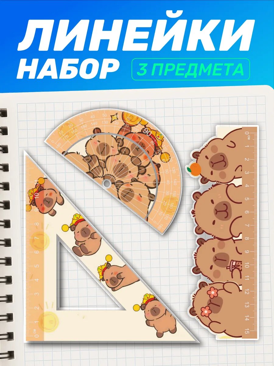Набор линеек для школьника с транспортиром Капибара