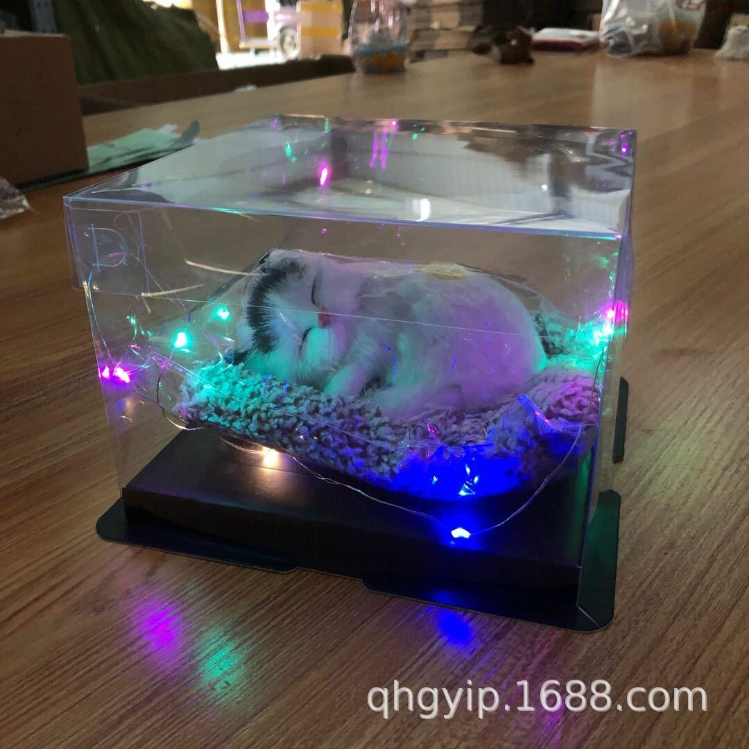 Маленький кот с черной головой сонный плюшевый с подарочной коробкой - Подарок на день рождения для девочек, размер 10
