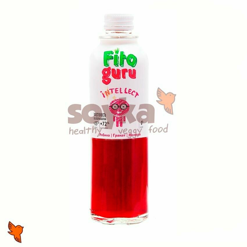 Напиток б/а со вкусом рябины граната и мелиссы Интеллект Fitoguru, 330мл