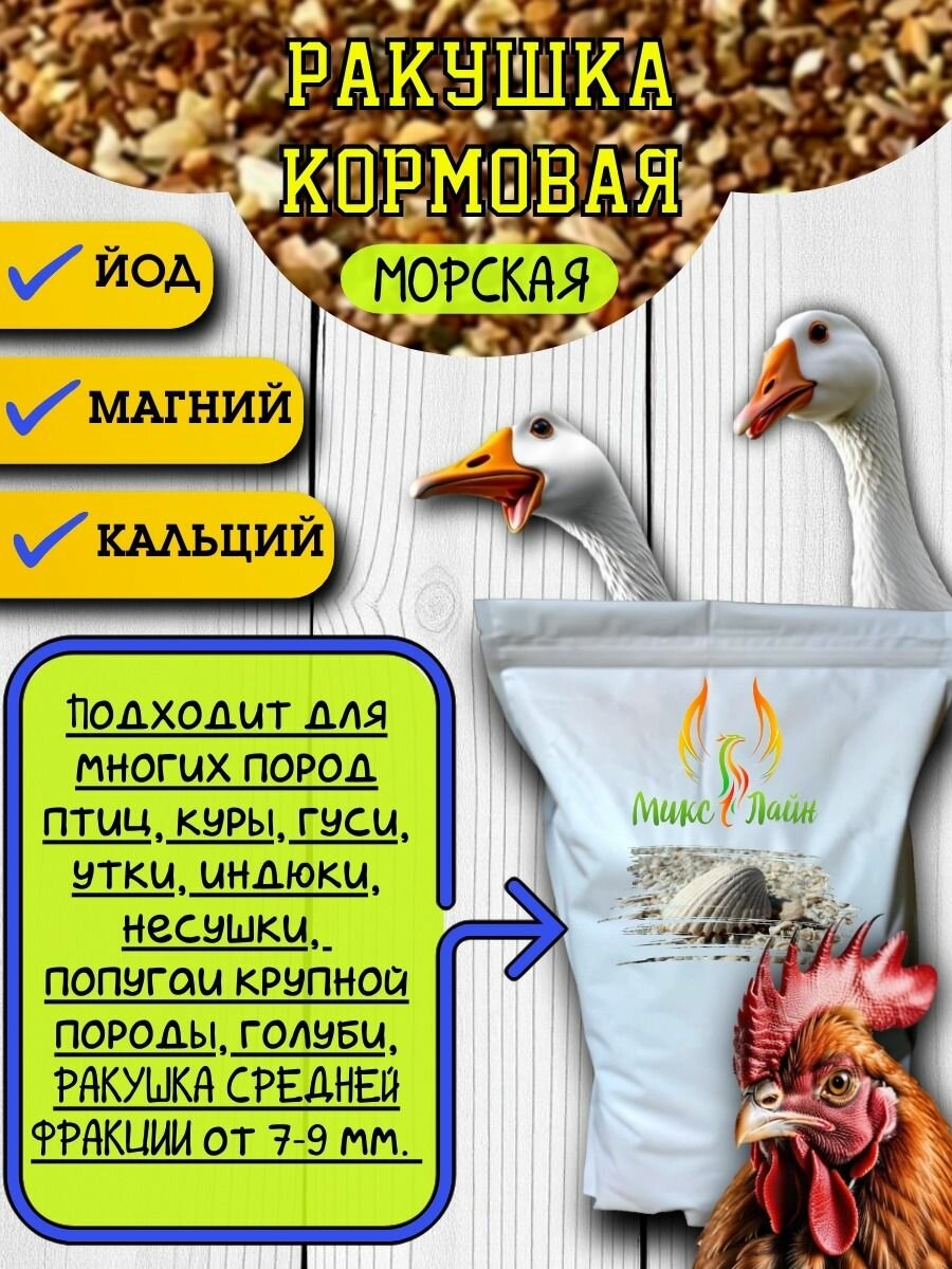 Ракушка кормовая(морская) 10 кг.