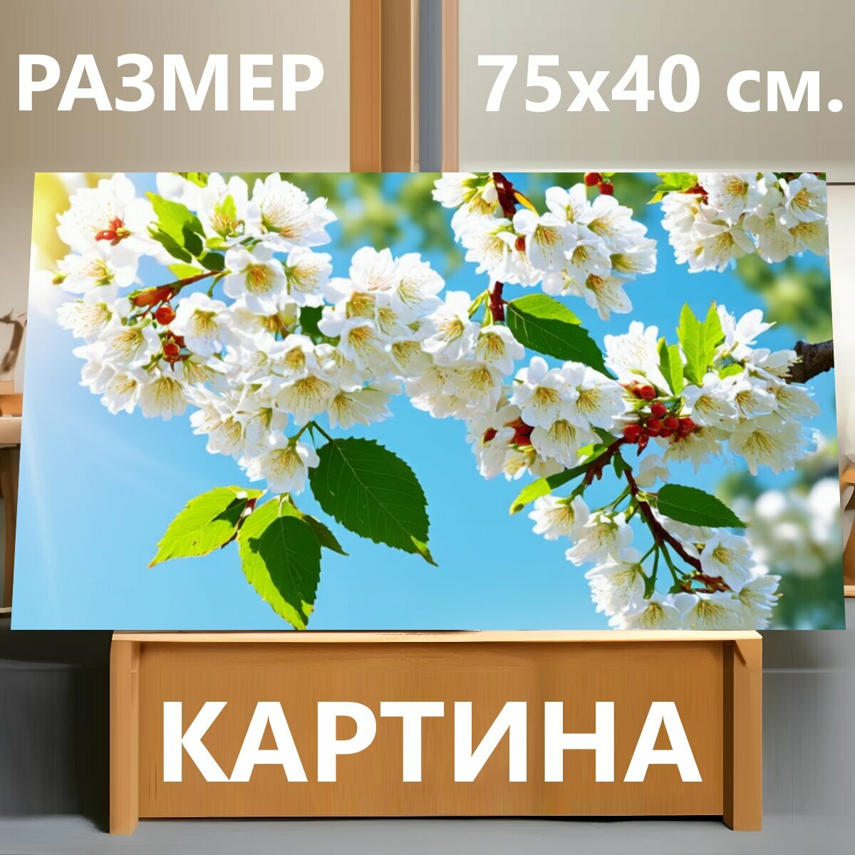 Картина на холсте "Мгновение весны, когда черемуха цветет, а солнце пробивается сквозь листву деревьев. яркие вишневые цветы и плоды." на подрамнике 75х40 см. для интерьера
