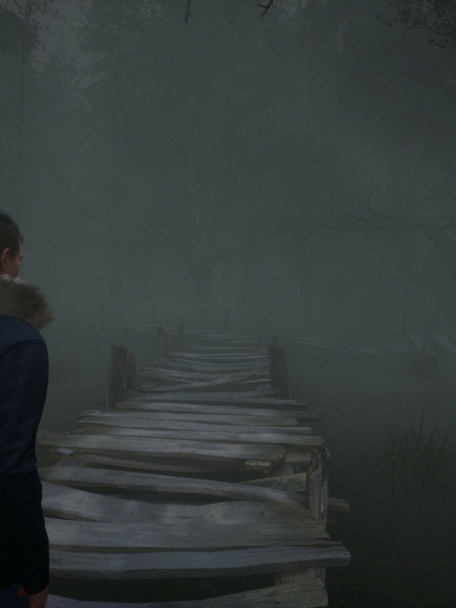 Stray Souls PS4, PS5 — PlayStation Store Индия, цифровая версия — фото 1