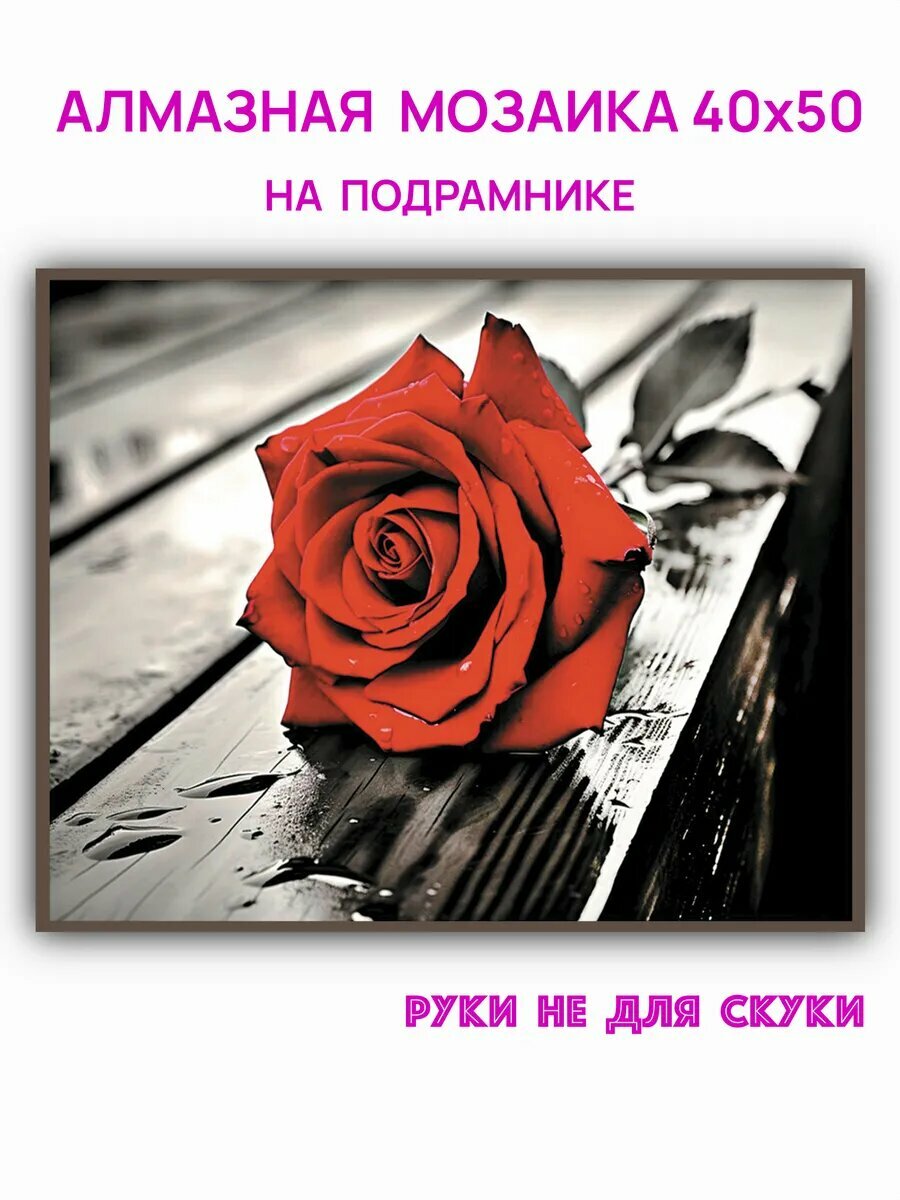 Алмазная мозаика 40х50 на подрамнике Ягоды RWA091