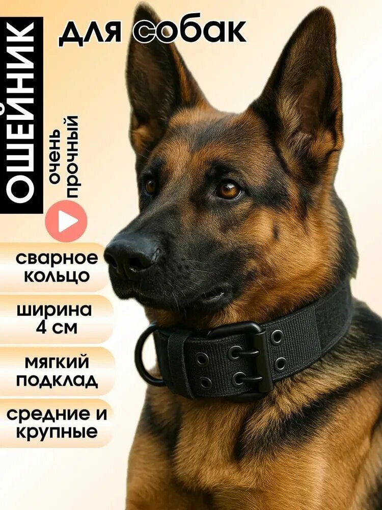 Ошейник для собак крупных и средних пород прочный черный