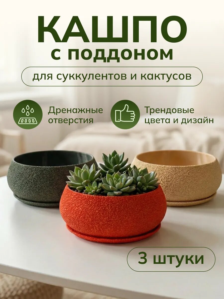 Набор кашпо для суккулентов