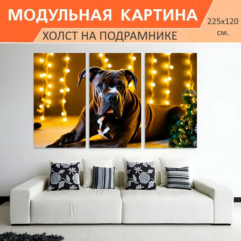 Модульная картина на холсте "Собака лежит на полу, порода коне корсо, обернута гирляндой с желтыми огоньками, на фоне стены с." триптих на подрамнике 225х120 см. для интерьера