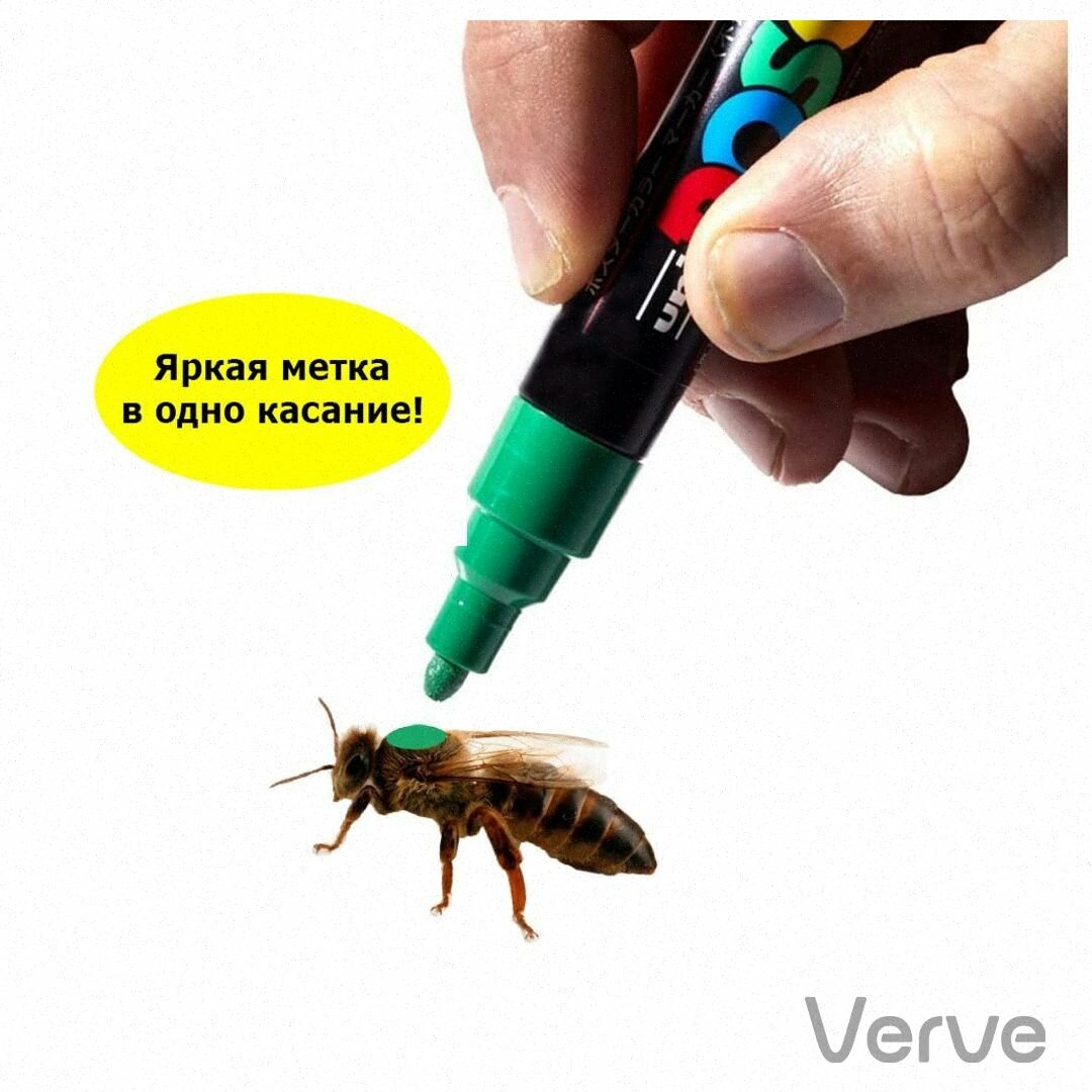 Маркер зелёный для метки маток POSCA PC-5M (утолщённая линия), Япония / маркер для маток