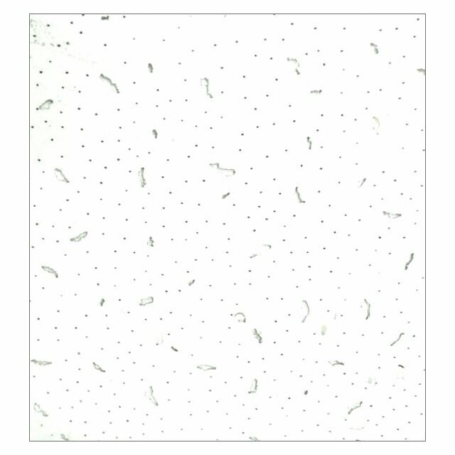 Плита потолочная BESTENHAUS тип Байкал 600 х 600 х 12 мм 12 шт. в упаковке