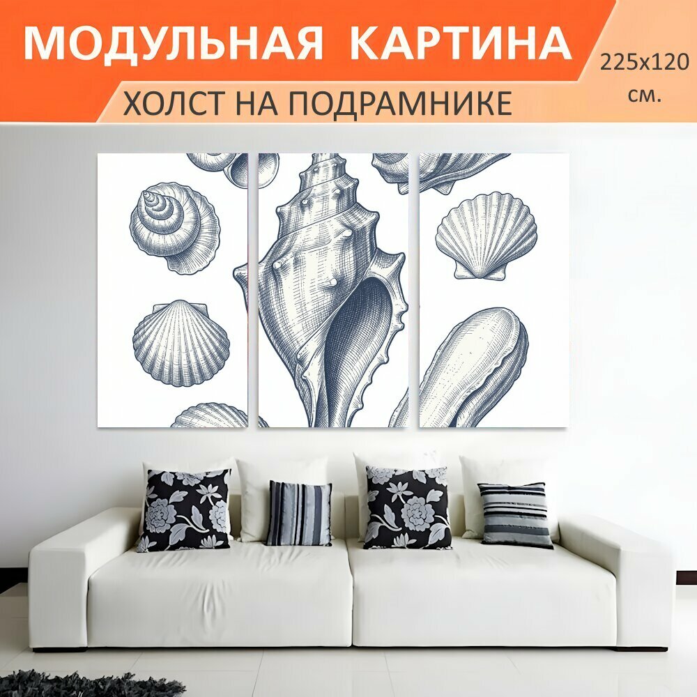 Модульная картина на холсте "Морские ракушки в графике. Набор изящных морских раковин и моллюсков в винтажной гравюре, тонкие синие." триптих на подрамнике 225х120 см. для интерьера