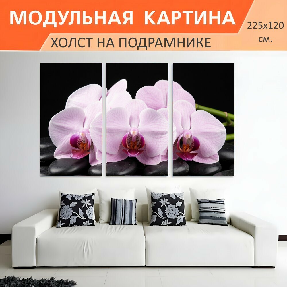 Модульная картина на холсте "Нежные орхидеи на черных камнях. Элегантная композиция с розово-белыми цветами на гладких темных камнях." триптих на подрамнике 225х120 см. для интерьера