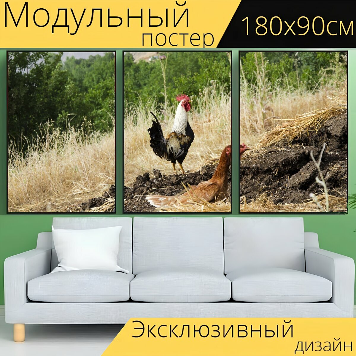 Модульный постер "Куриные петух, петух, курица" 180 x 90 см. для интерьера на стену в тубусе