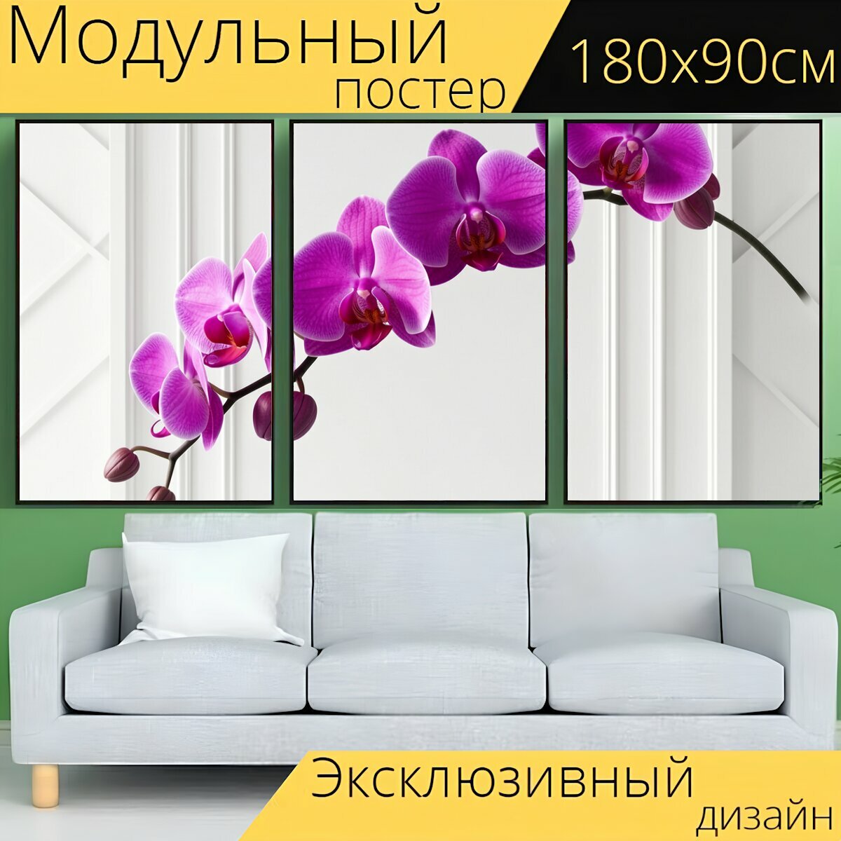 Модульный постер "Фиолетовые орхидеи на светлом фоне. Изящная ветвь с крупными тропическими цветами в розово-фиолетовой гамме на фоне." 180 x 90 см. для интерьера на стену в тубусе