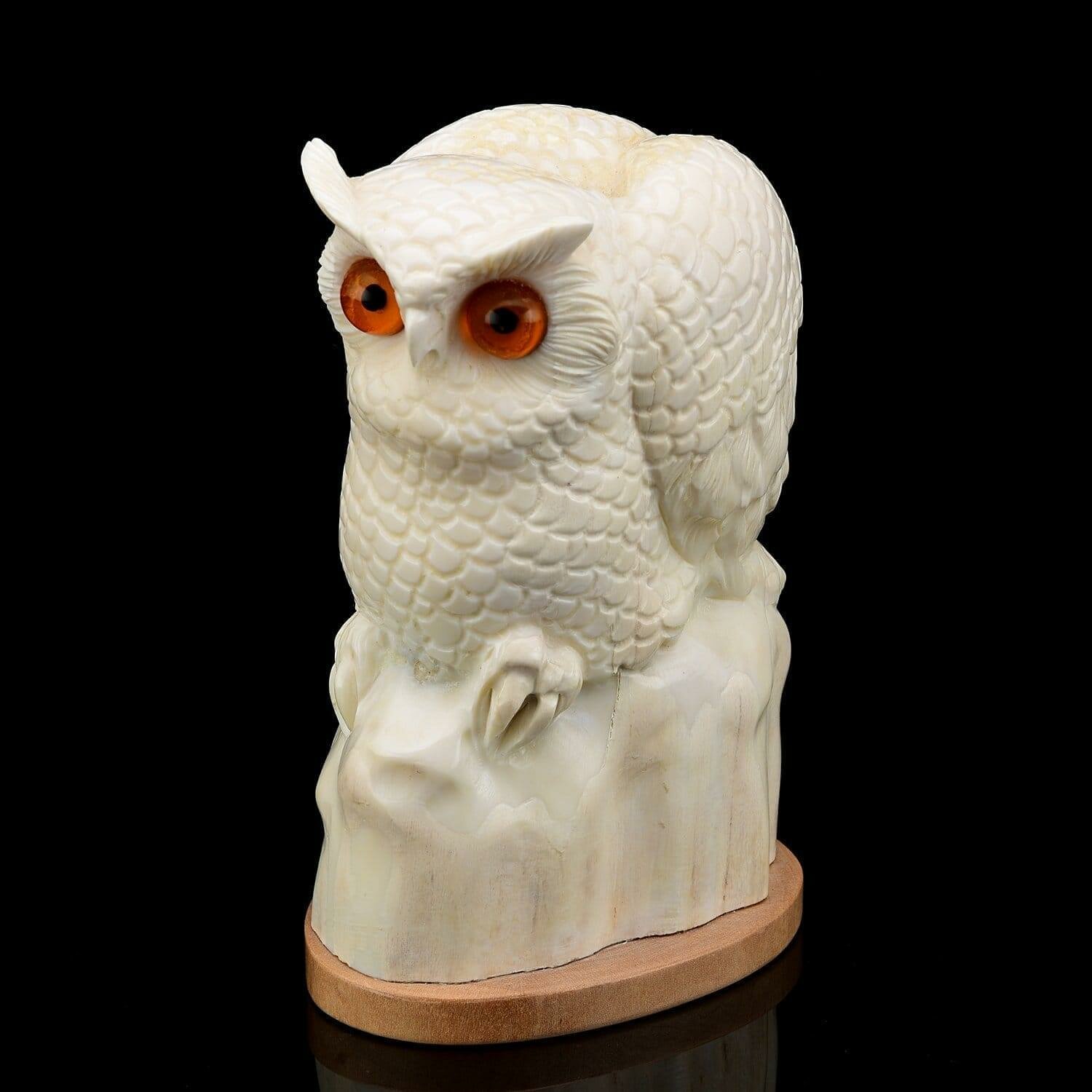 23689 Изделия из кости Композиция "Сова"Клык моржа А458