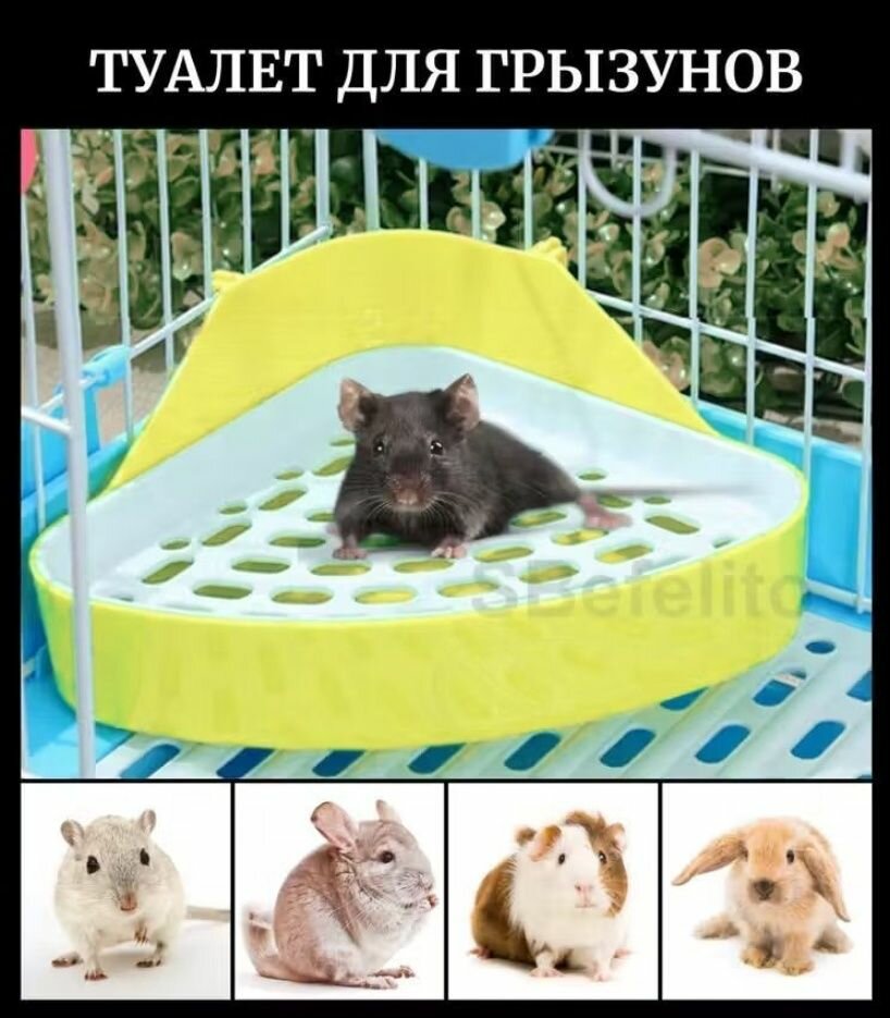 Бестселлер, лоток для питомцев