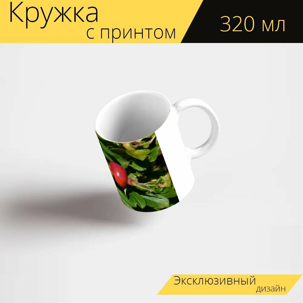 Кружка с рисунком, принтом "Шиповника, картофельная роза, роза ругоса" 320 мл.
