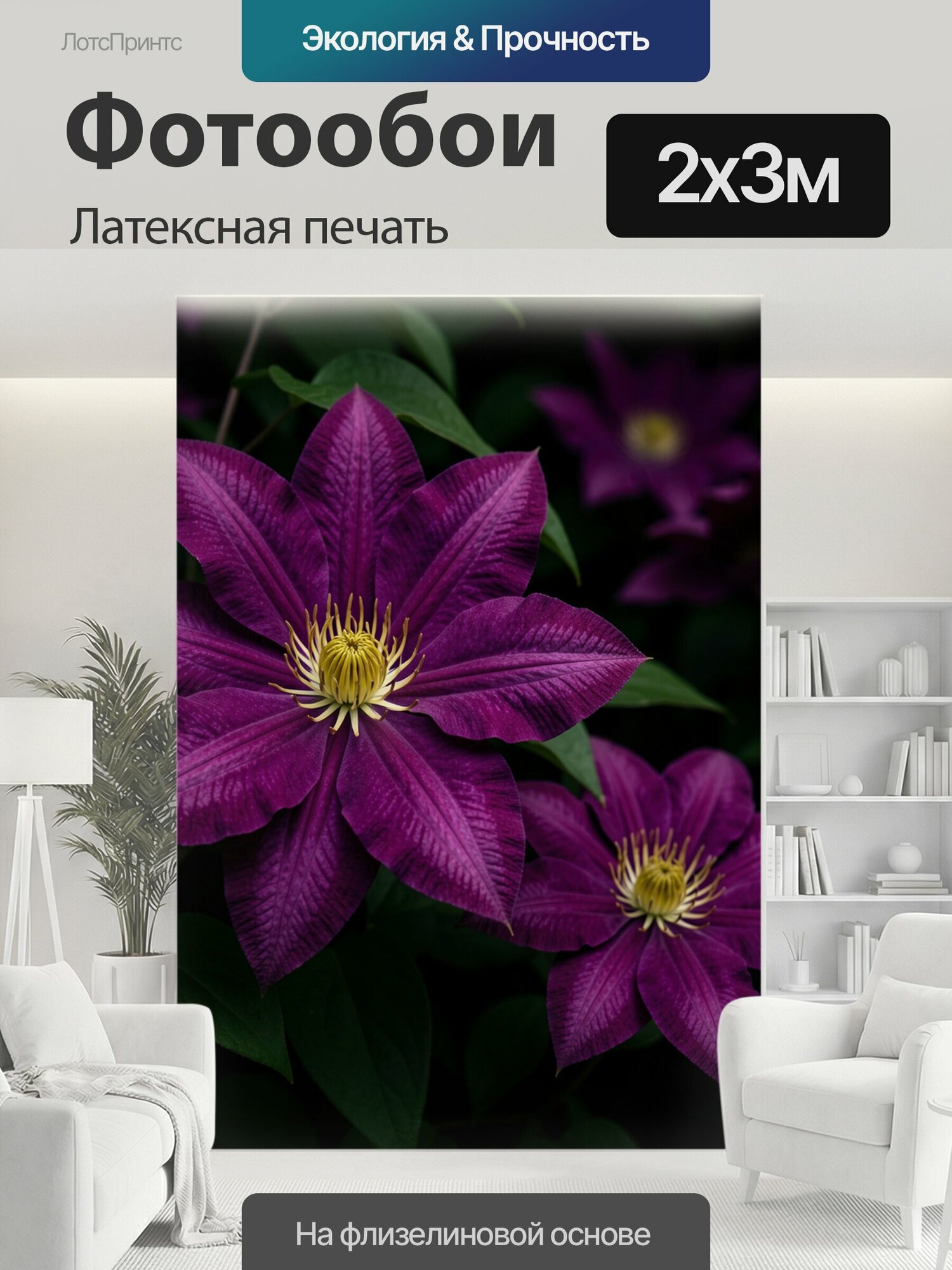 Фотообои моющиеся ударопрочные "Фиолетовые клематисы на тёмном фоне. Крупные сиренево-пурпурные цветы с жёлтыми тычинками среди насыщенной зелени." 200x300 см. латексная печать